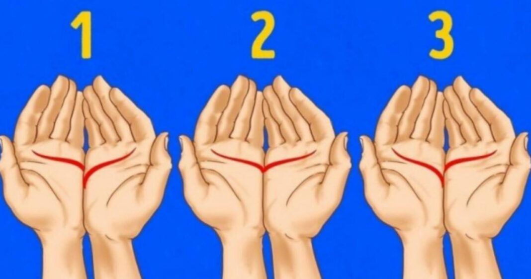 Test personalità: le linee della tua mano dicono molto su di te